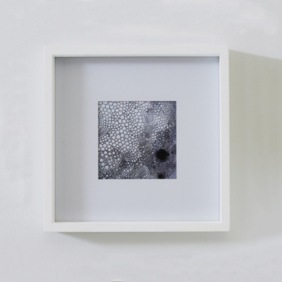 Fine Wood Photo Frame 5x5” | Photo Frames | The White Company UK